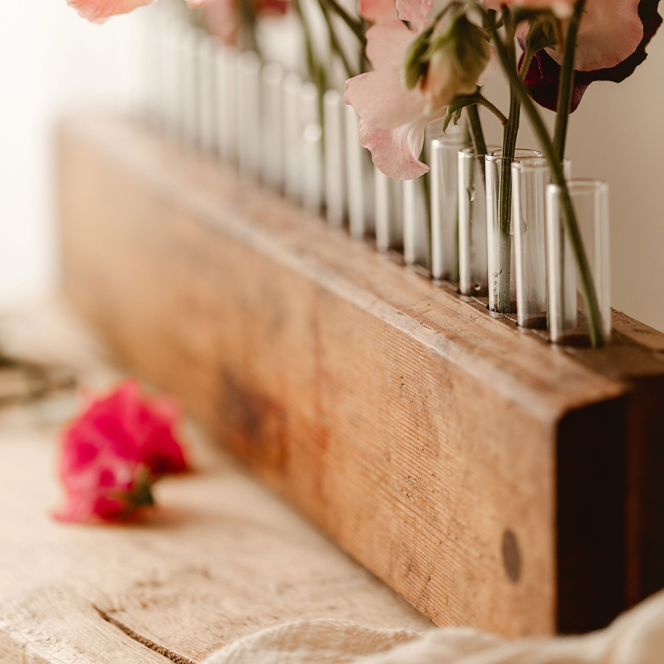 Sweet Pea Kings Ransom Seeds